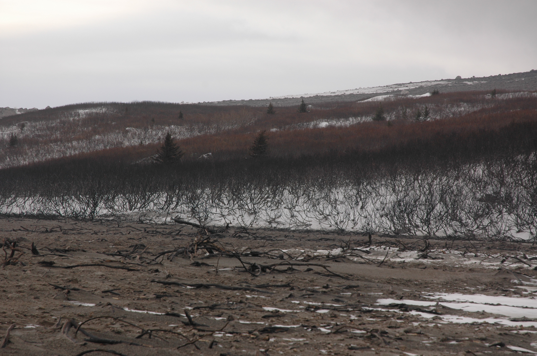 Photo of Augustine Volcano taken during a FLIR helicopter flight ...