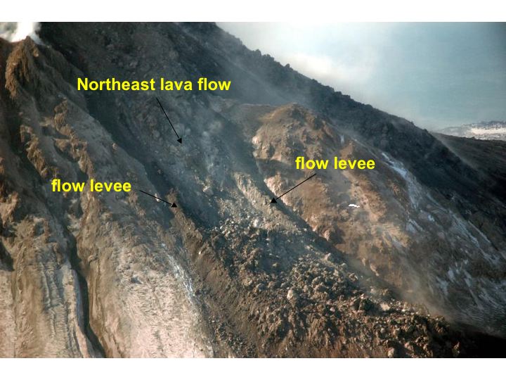 Flow levees of the northeast lava flow.