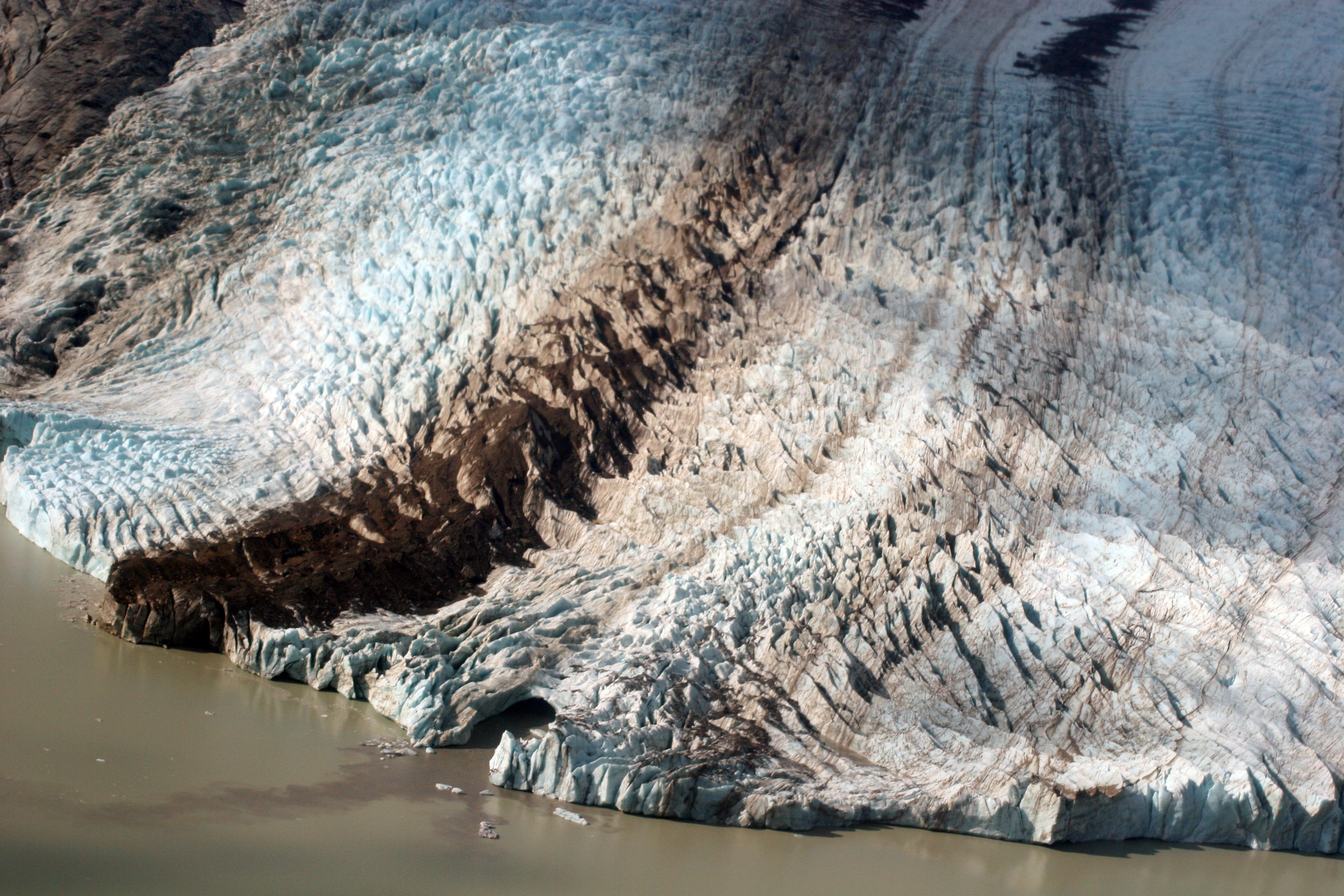 Terminus of Fourpeaked Glacier. Notice the dark-colored sediment ...