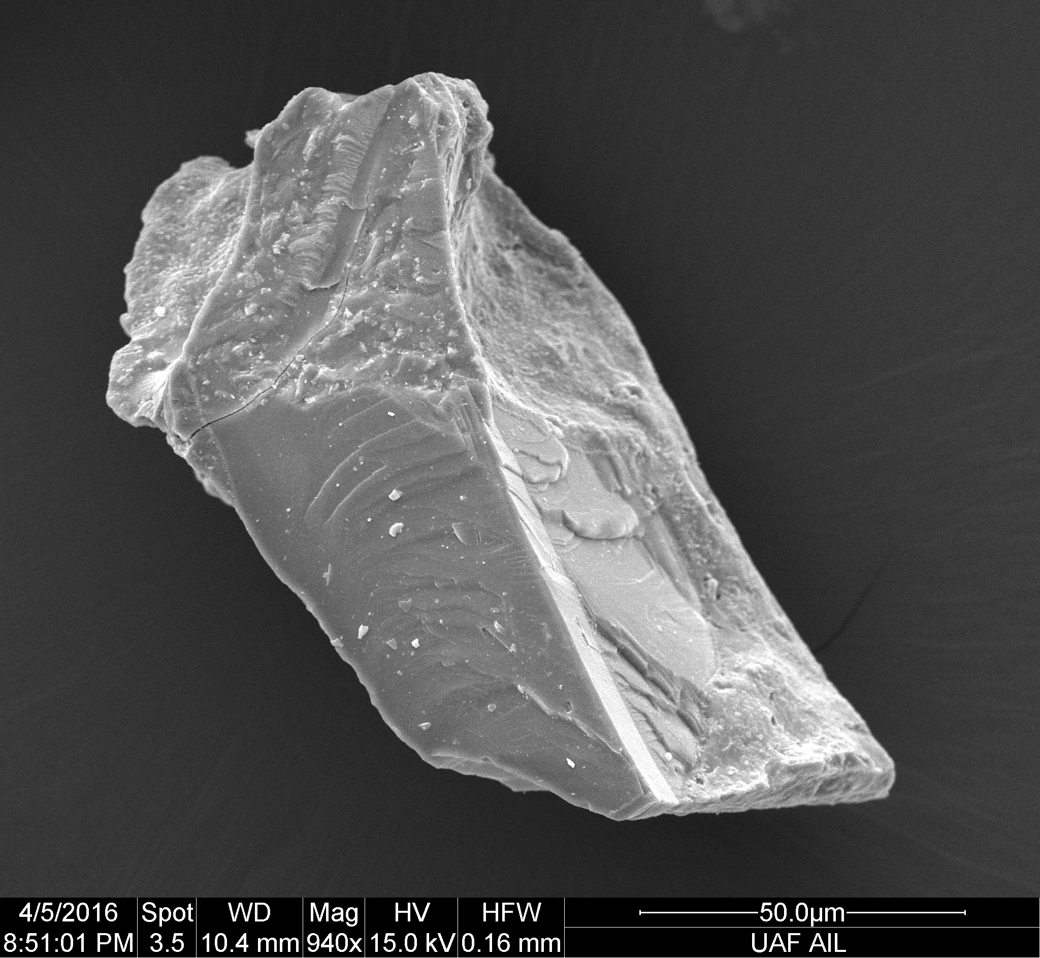 SEM image of a volcanic ash particle from the March 28, 2016 eruption ...