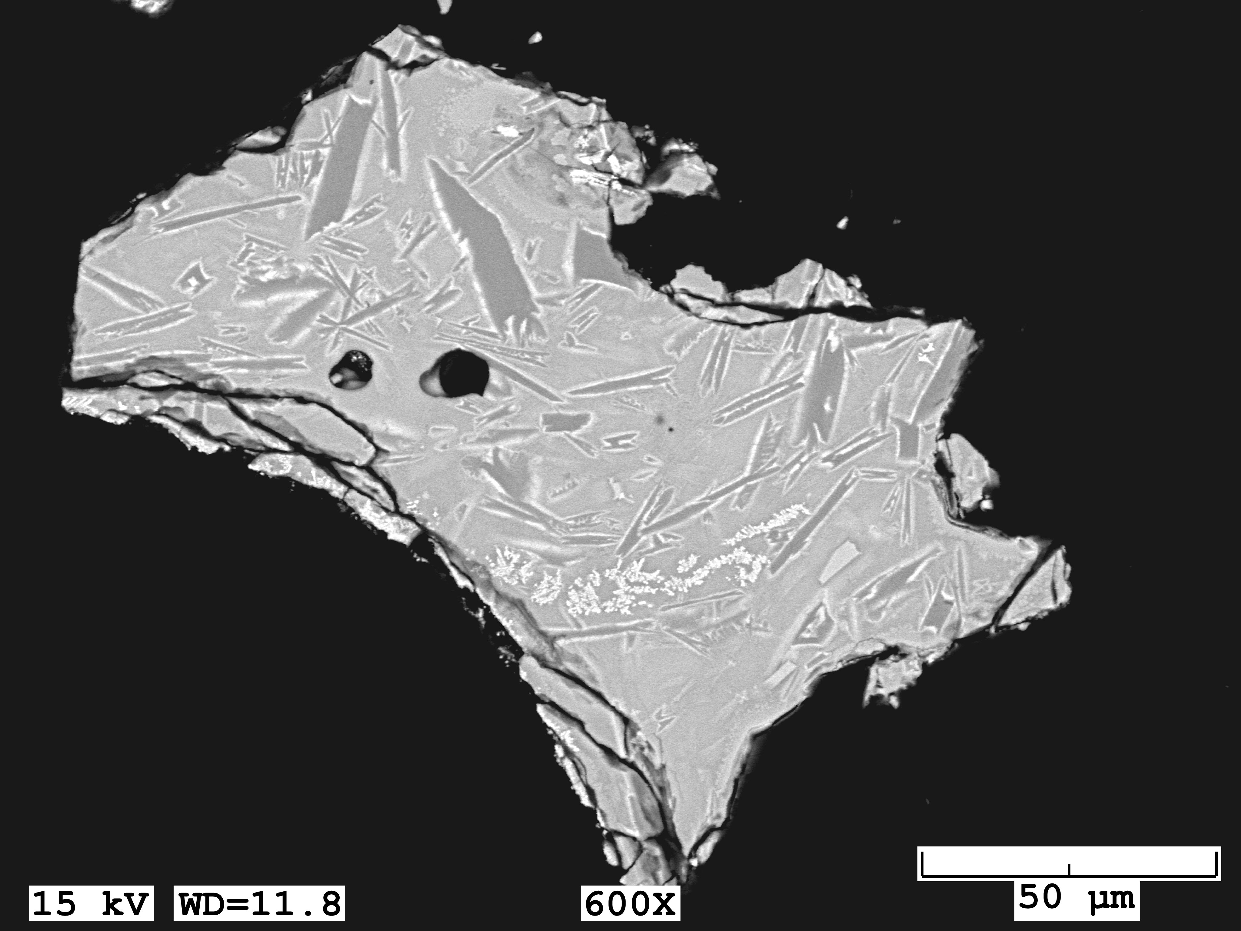 BSE image of tephra sample erupted from Shishaldin on January 7, 2020 ...