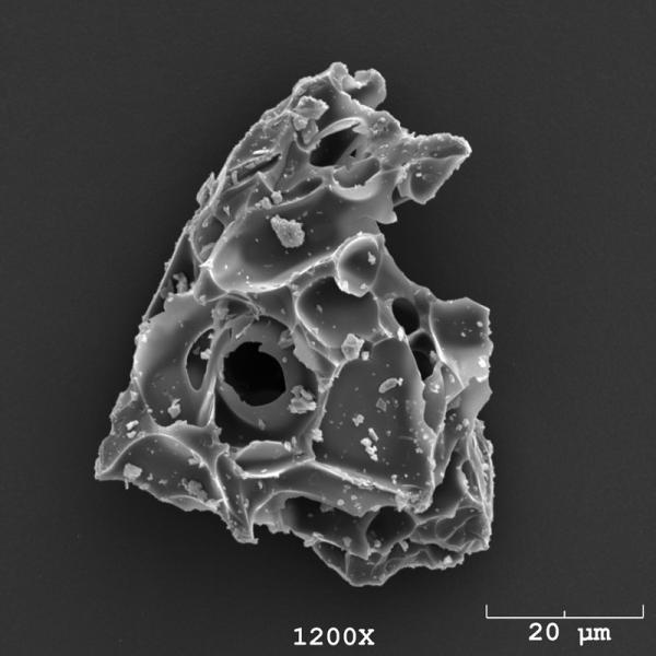 SEM (Scanning Electron Microscope) image of an ash particle erupted by ...