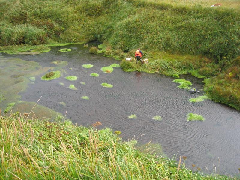 Tina Neal sampling spring waters along Fenner Creek, Semisopochnoi caldera.