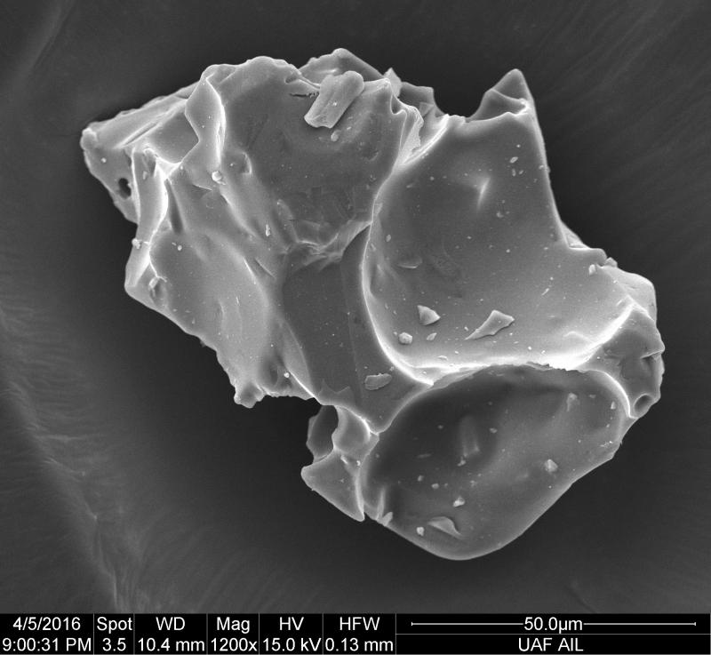 SEM image of a volcanic ash particle from the March 28, 2016 eruption ...