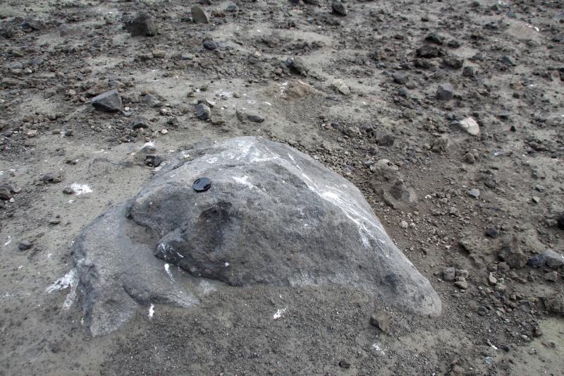 Day 2 of Bogoslof field work. Partially buried boulder on north ...