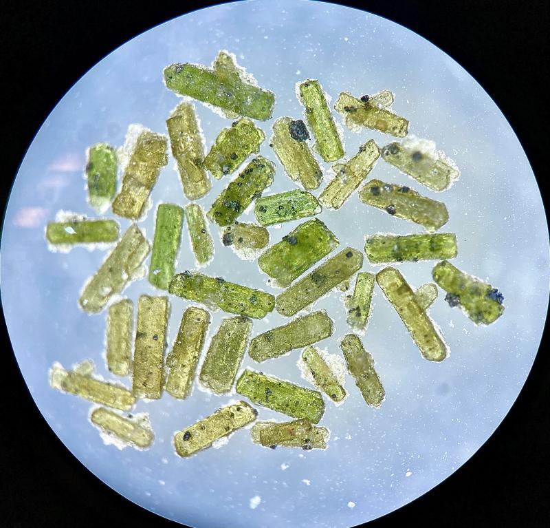 This photomicrograph shows green pyroxene crystals from tephra of the ...