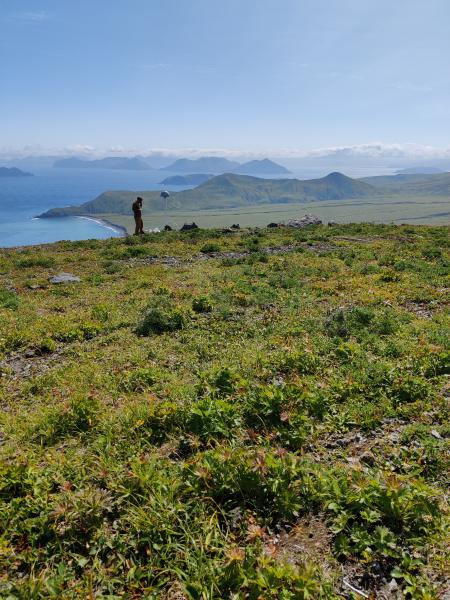 AVO personnel conduct repairs at monitoring station GSTR on Great ...